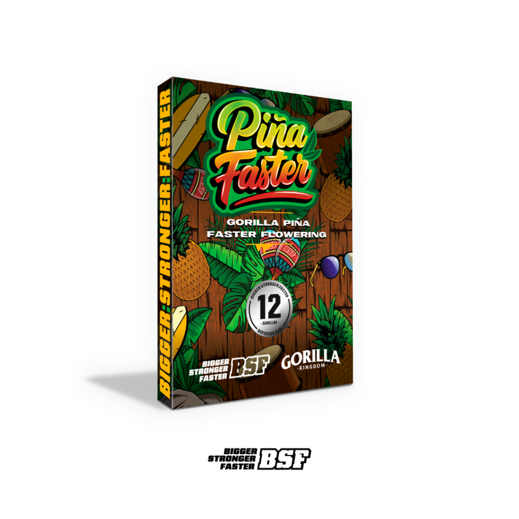 Gorilla Piña Faster - Banco de Semillas BSF Seeds